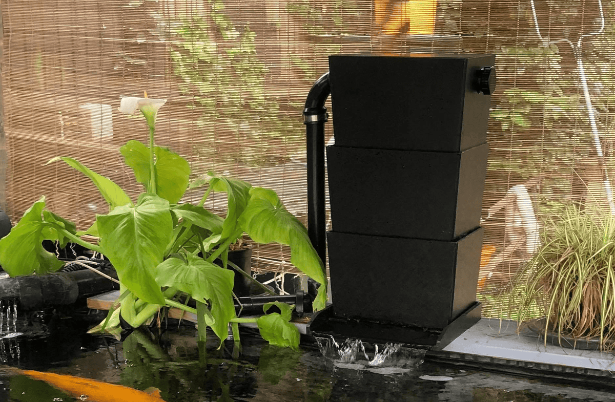 Unlocking Crystal Clear Water: The Science Behind Bakki Showers for Koi ...