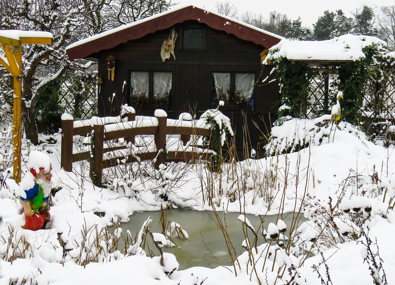 Winterizing your koi pond: A comprehensive guide – Apex Koi